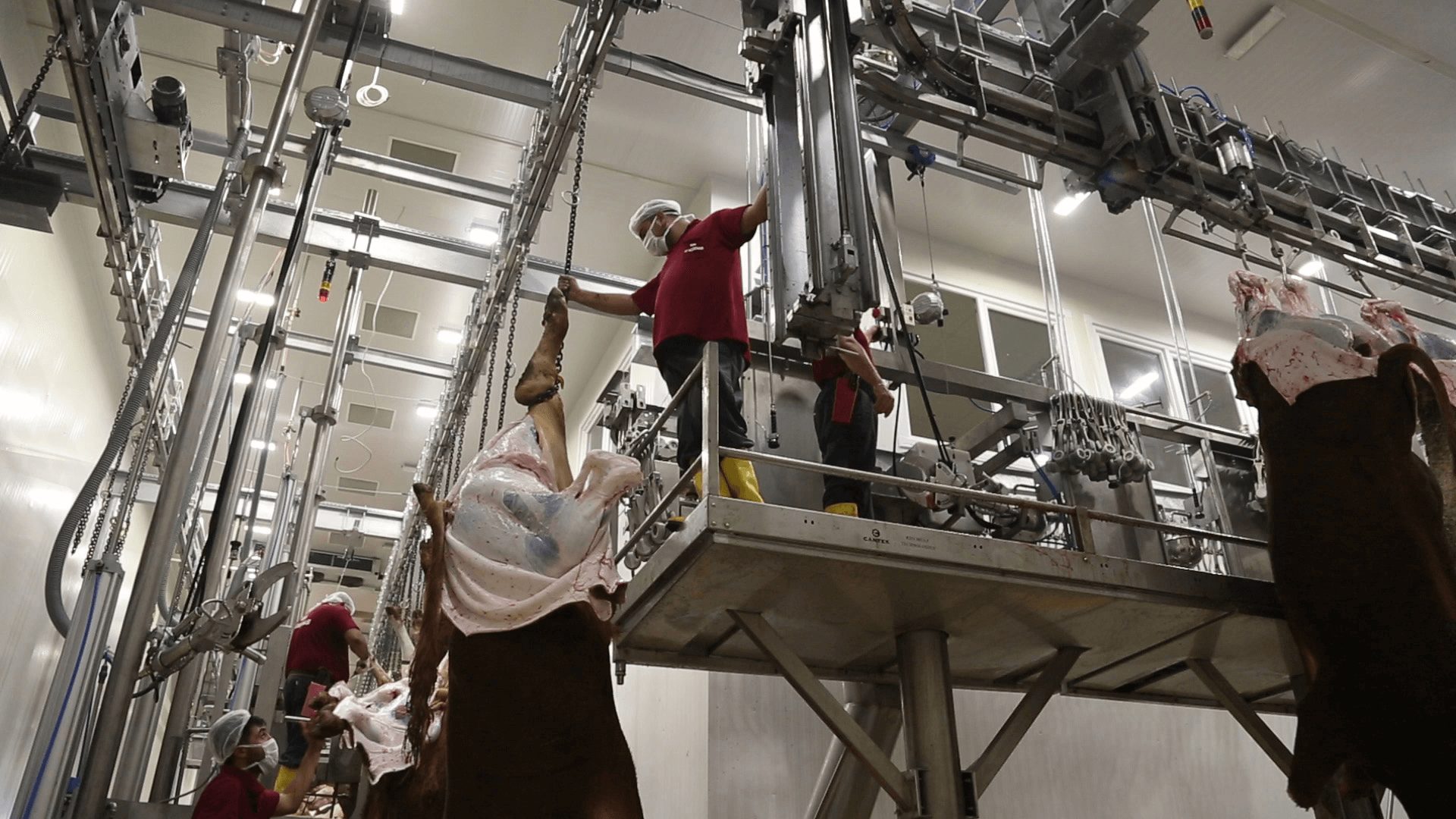 Camere și Depozite frigorifice „la cheie” - Midal